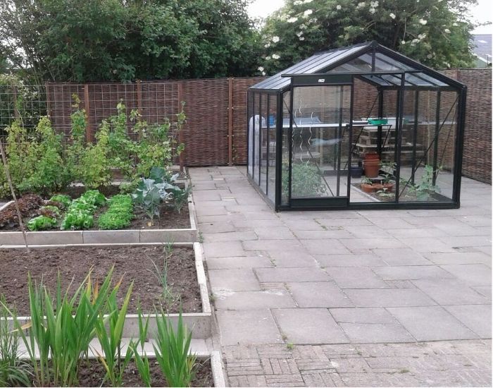 Moestuin kas: op weg naar kweek succes! Buytenshuys